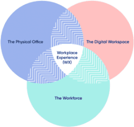 What Is Workplace Experience And How To Improve It [2024]